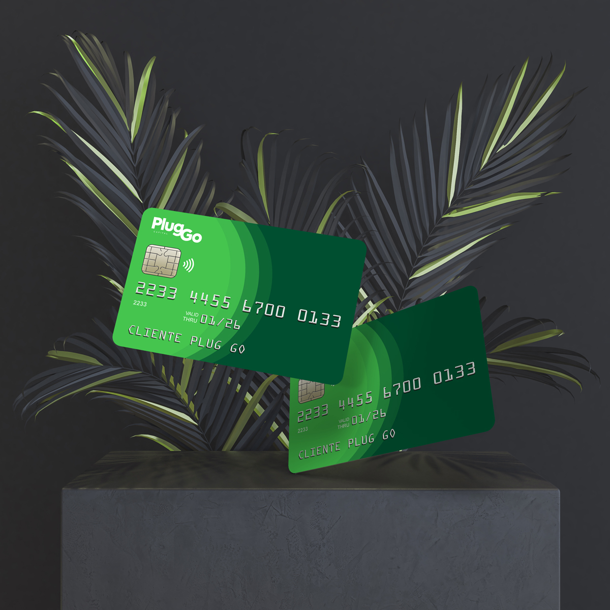 Cartão Plug Go PF - Plug Go | Inúmeras possibilidades